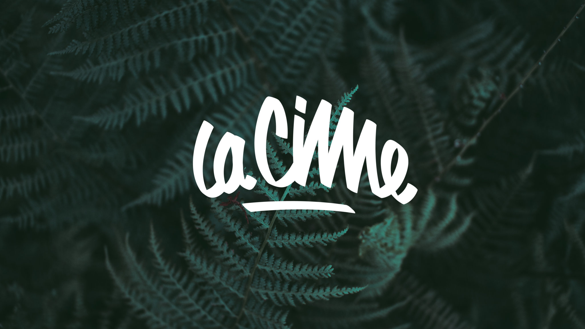 Charte graphique - Agence La Cime